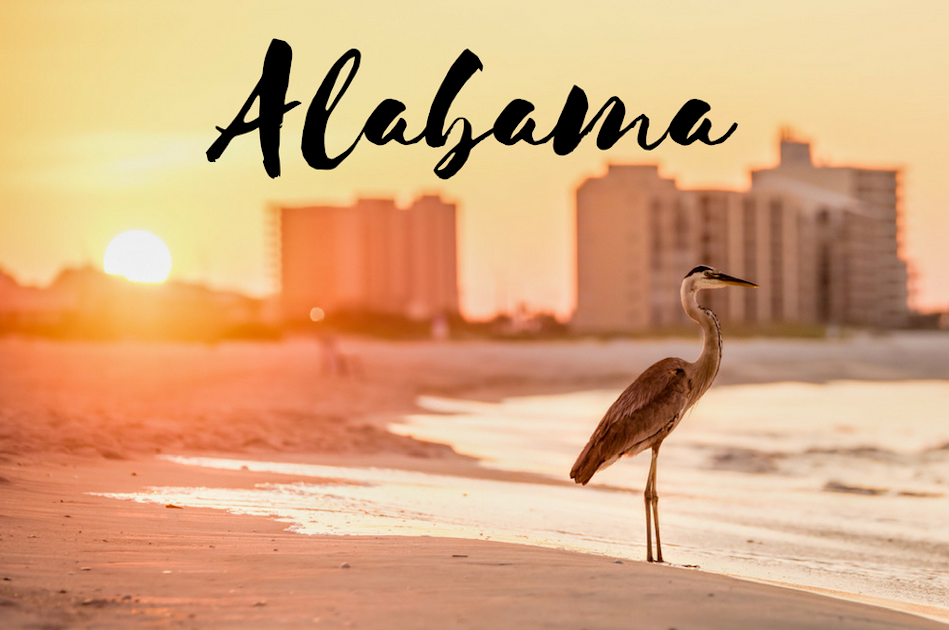 Best Cell Phone Coverage in Alabama | WhistleOut