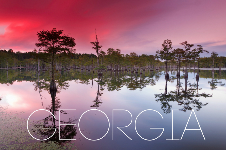 Best Cell Phone Coverage in Georgia | WhistleOut