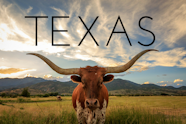 Best Cell Phone Coverage In Texas WhistleOut Best Cell Phone Coverage In Texas WhistleOut