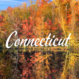 5G Internet vs Cable Internet | WhistleOut