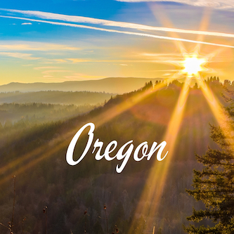 Compare 31 Internet Providers (Instant Look-Up) | WhistleOut