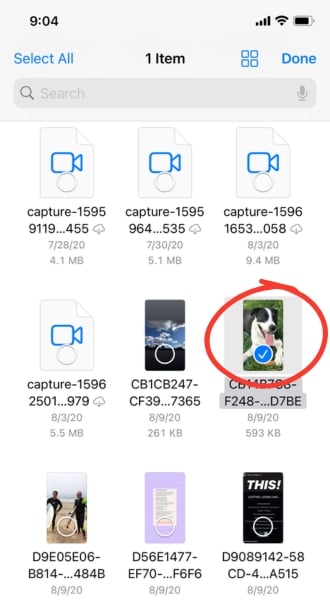 iPhone Files App: Hidden Hacks to Using and Managing Files on Your ...