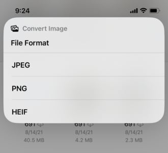 iPhone Files App: Hidden Hacks to Using and Managing Files on Your ...