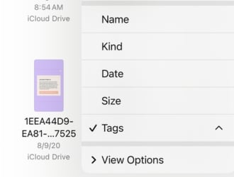 iPhone Files App: Hidden Hacks to Using and Managing Files on Your ...