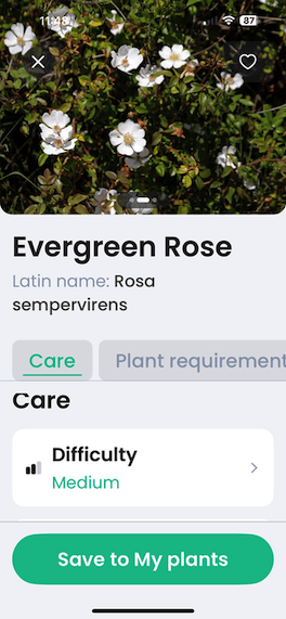 The Best iPhone and Android Apps of 2025 | WhistleOut