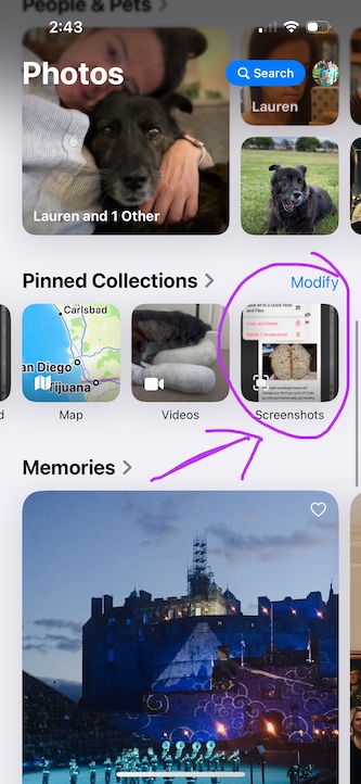 How to Take a Screenshot on an iPhone | WhistleOut