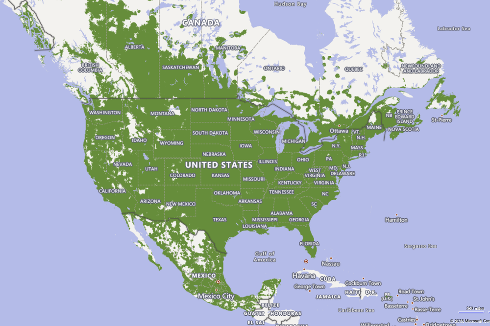 Best Cricket Wireless Family Plans: 4 Lines for $100/month | WhistleOut