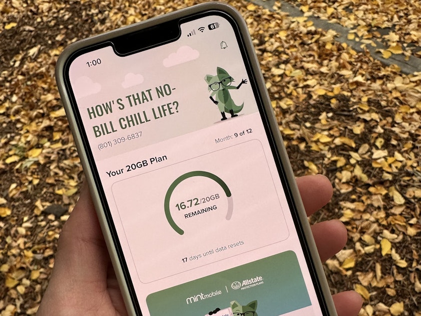 How to Switch to Mint Mobile Without Losing Your Number | WhistleOut
