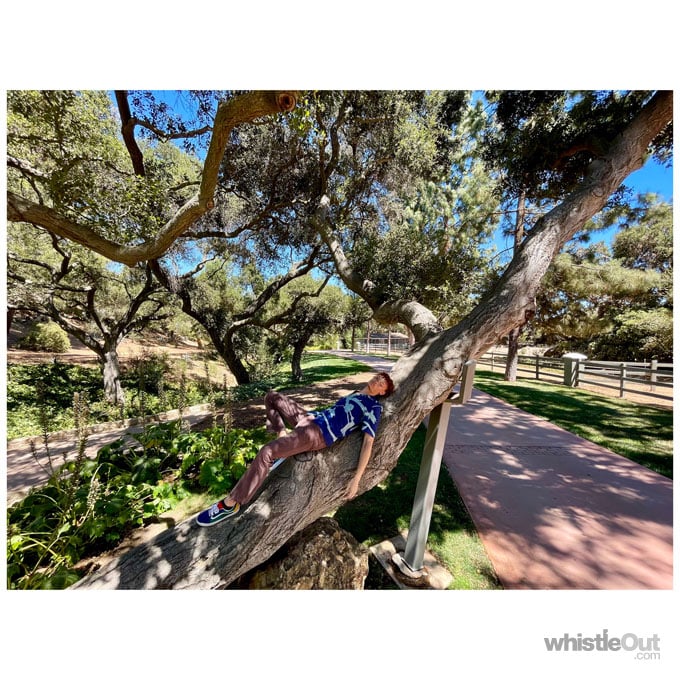 Metro by T-Mobile (MetroPCS) iPhone 12 64GB Prices - Compare 0+ Plans ...